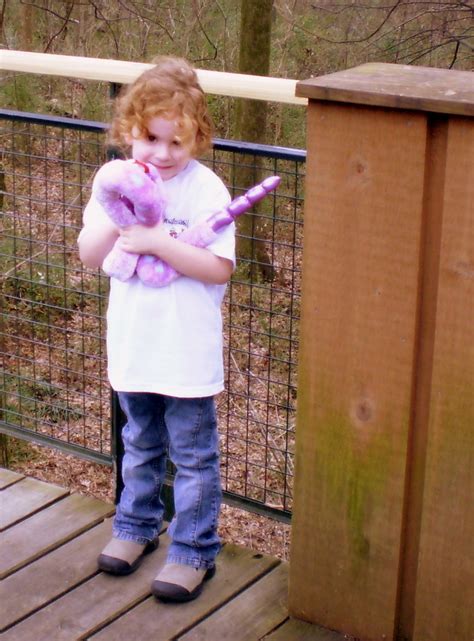 Jan 7 2009 066 Michelle Sneed Flickr