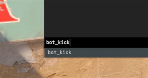 How To Get Rid Of Bots In CS Quick Guide