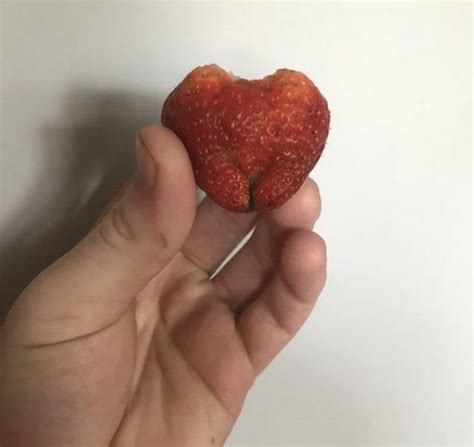 The Moment You Start Seeing Sex Everywhere Barnorama