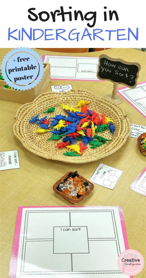 Sorting For Kindergarten