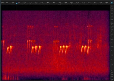Vocalisation Isolation And Noise Reduction In Adobe Audition On The