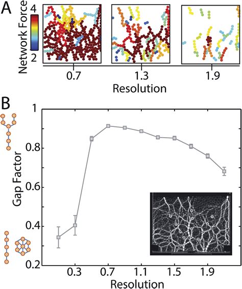 Sample Community Detection Results For A Single Granular Experiment At