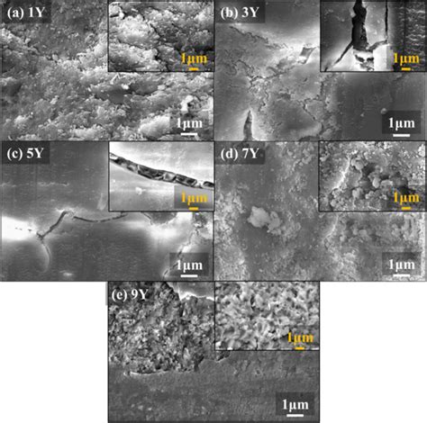 Scanning Electron Micrographs Sem Of The Wear Surface Morphologies On Download Scientific