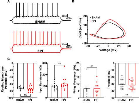 Figure 3 From Early Deficits In Dentate Circuit And Behavioral Pattern Separation After