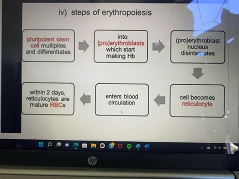 Lecture Exam One Flashcards Quizlet