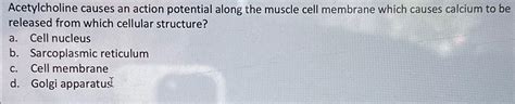 Solved Acetylcholine Causes An Action Potential Along The