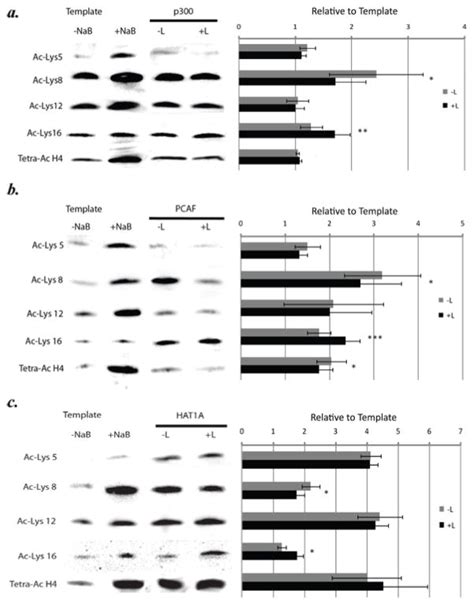 Differential Expression Of Thrombospondin Thbs1 In Tumorigenic And