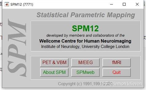 Fmri数据分析 流程 知乎