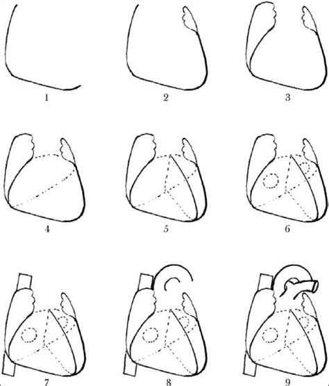 Real Heart Drawing Step By Step