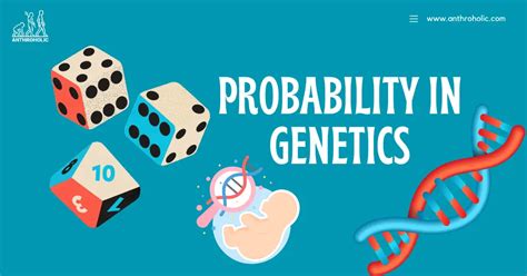 Probability In Genetics Anthroholic