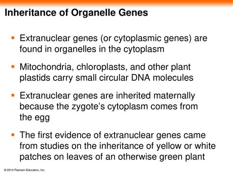 Locating Genes Along Chromosomes Ppt Download