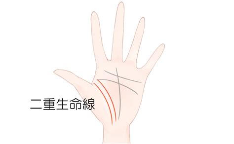 二重生命線の見方特徴別に解説するビジュアル手相占い アリスの占い館