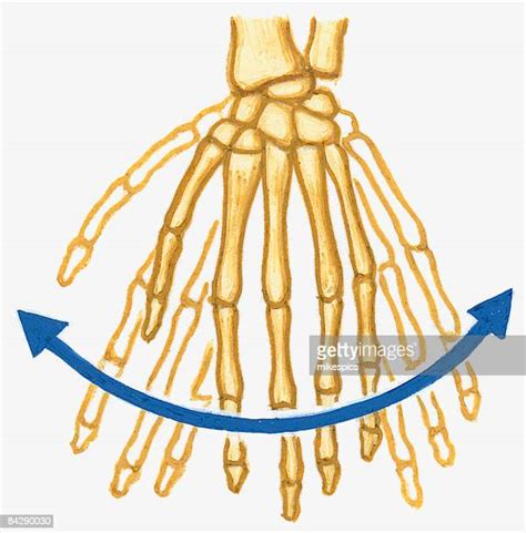 Ellipsoidal Photos And Premium High Res Pictures Getty Images