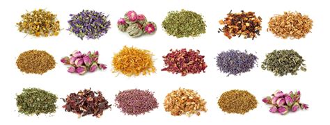 რუსთავის მუნიციპალიტეტის საკრებულო Rustavi Municipality City Council 📌 რუსთავის