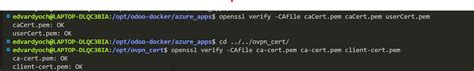 OpenVPN Connect To Azure VNET Peer Certificate Verification Failure Stack Overflow