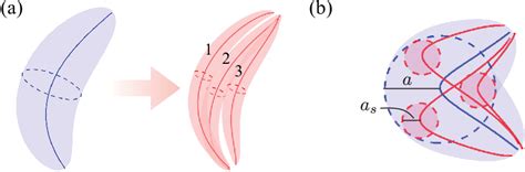 Figure 3 From Bundled Slender Body Theory For Elongated Geometries In Swimming Bacteria
