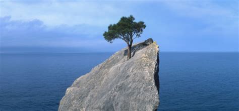 The Creo Model Tree More Versatile Than You Ever Thought Ptc