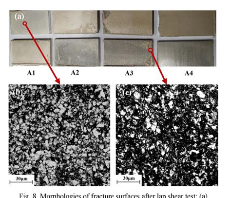 Figure 8 From Preparation Of Core Shell Structured Sio2 Ag Spheres And Their Role In Improving