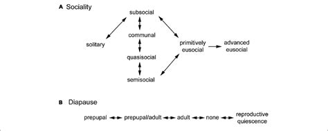 Character State Transition Models For A Sociality And B Diapause