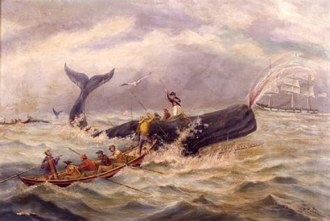 Ч 3 Зачем ловили китов Владимир Врубель Проза ру