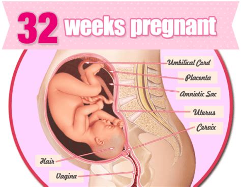 When The Fetus Is At 32 Weeks What Should The Mother Pay Attention To