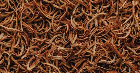 갈색 재료가 많이 들어 있는 나무 숟가락 사진 Unsplash의 웜 이미지