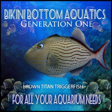 Second Life Marketplace Brown Titan Triggerfish