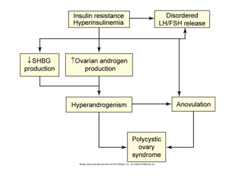 Alterations In The Reproductive Systems And Sexually Transmitted Infections Patho Flashcards