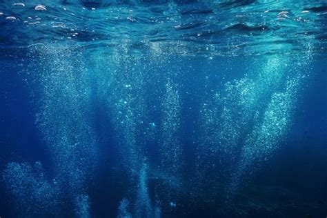 Does Zerowater Remove Nitrite Zerowater Europe