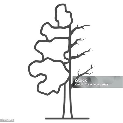 녹색 잎 얇은 선 아이콘의 전체 트리 절반 조건 개념에 따라 변경 흰색 배경에 나무 기호 모바일 개념에 대한 윤곽 스타일 나무 반 건조 아이콘 벡터 그래픽 나무에 대한 스톡