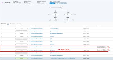 Nsx T Series Part 15 Nsx T Segment With T1 Gateway Without Edge