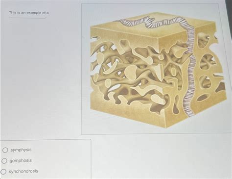 Solved This Is An Example Of