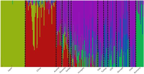 The Faststructure Bar Plot Showing The Genetic Clusters The Assignment Download Scientific