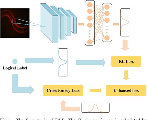 Figure 3 From Age Estimation Of Caenorhabditis Elegans With Label Distribution Learning