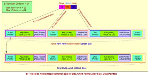 Introduction To B Tree In Data Structure Cs Taleem