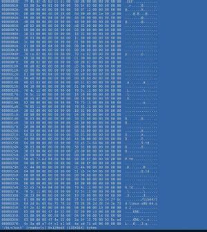 The Best Hex Editors For Linux Aprende IT The Best Hex Editors For Linux Aprende IT