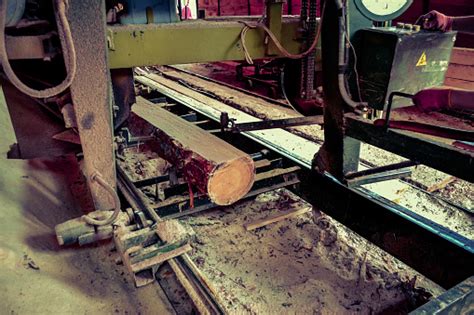 제재소입니다 제재소 기계에서 로그를 가공 하는 과정 쏘 T 재목 저장소에 대한 스톡 사진 및 기타 이미지 재목 저장소 직업 가문비나무 Istock