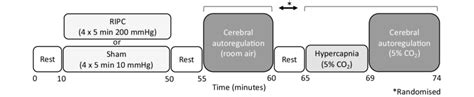Schematic Of The Protocol For Each Testing Visit Download Scientific