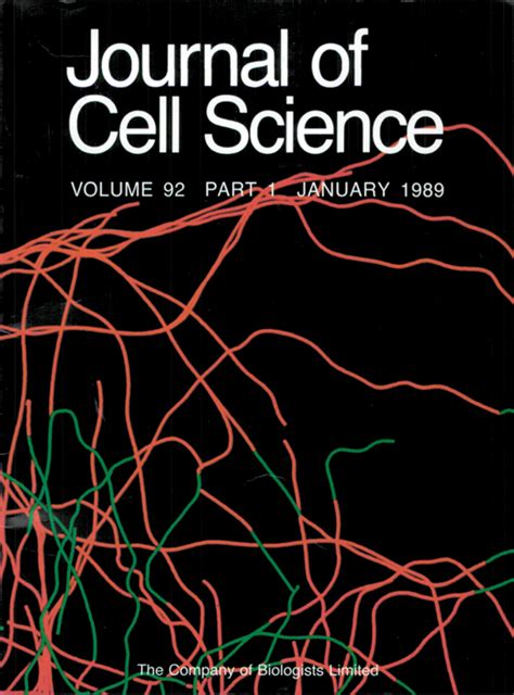 Paramecium Journal Of Cell Science The Company Of Biologists