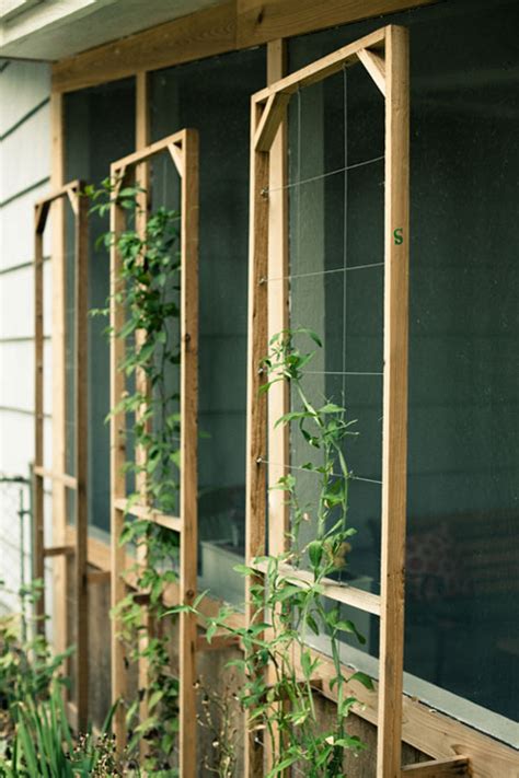23 Functional Cucumber Trellis Ideas Guaranteed To Boost Your Harvest 23 Functional Cucumber Trellis Ideas Guaranteed To Boost Your Harvest