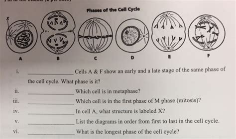 Biology Final Review Spring 19 Diagram Quizlet