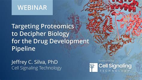 On Linkedin Targeting Proteomics To Decipher Biology For The Drug Development