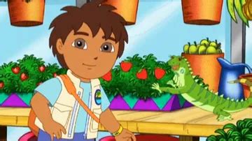 Go Diego Go Rainforest Rhapsody