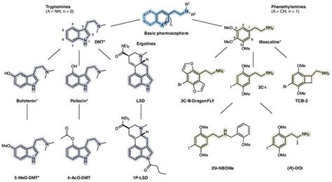 Psychedelic Science Cornell