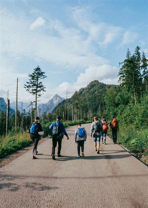 건강한 삶 건강한 생활 걷고 있는 경치 경치가 좋은 고요한 관광 광야 그룹 길 낮 레크리에이션 말 폴로 스카 맑은 공기 모험 무성한 녹지 방랑벽