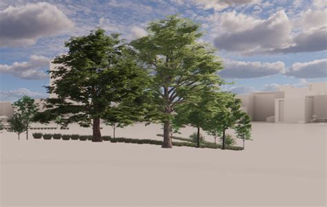 Sketchupenscape Trees Showing As White And Blue Sketchup Enscape