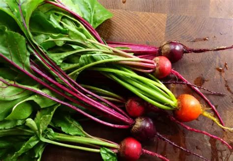 25 Types Of Beets With Pictures And Names