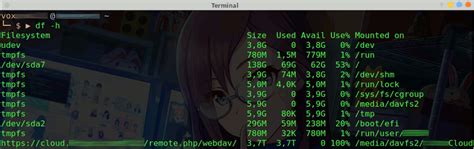 [tuto howto] [ubuntu debian] montage webdav davfs en ram