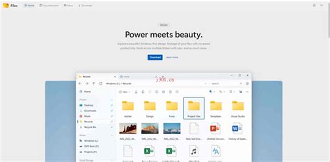 Files：高效且颜值爆表的windows三方资源管理器 笨鸟编程导航