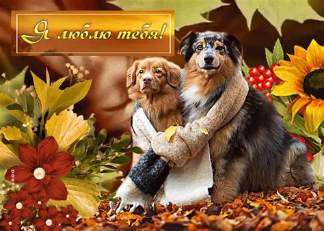 Невероятная открытка с собачками Я люблю тебя Скачать бесплатно на